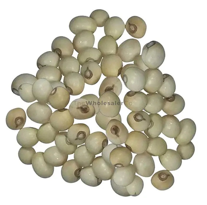 Gunja Safed Seeds - Chirmati Safed Beej - White Ratti - Rosary Pea ...